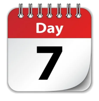 7 Day Coding System-2021